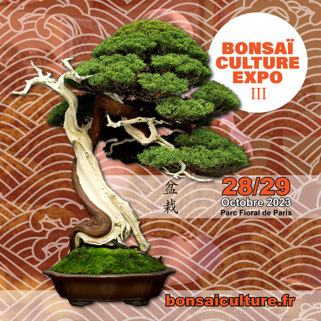 DEMOS BONSAÏ CULTURE EXPO III – Bonsaï Culture