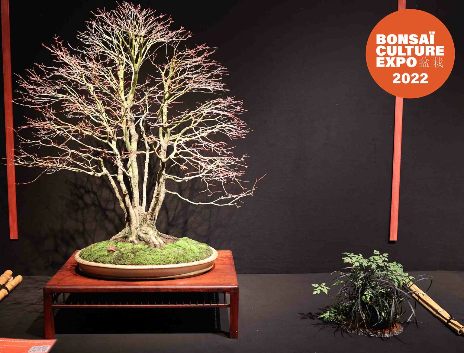 PRIX DU PUBLIC BONSAÏ CULTURE EXPO 2022 – Bonsaï Culture